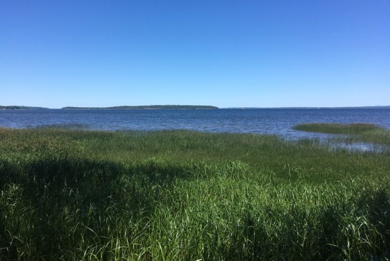 Valcour Island Paddle: The Battle of the Waves | NY Ski Blog